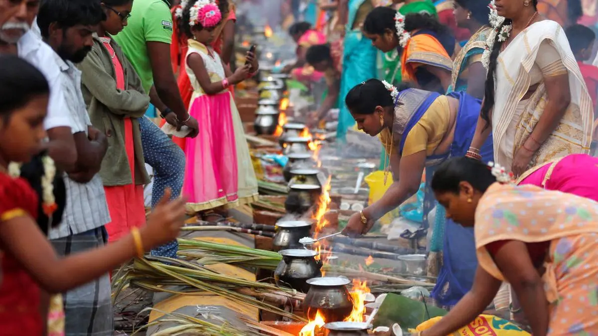 When is pongal celebrated store